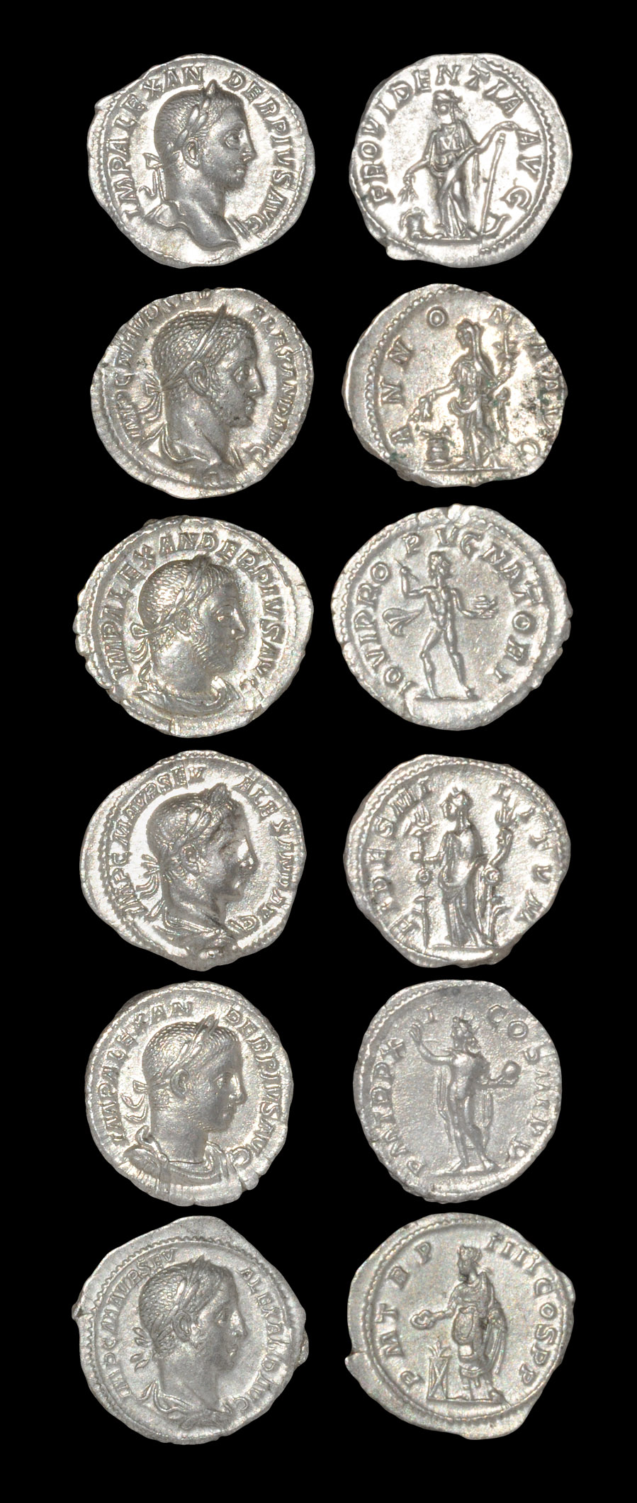 Roman Emperor Severus Alexander Diploma for Maximus a Mounted Imperial ...