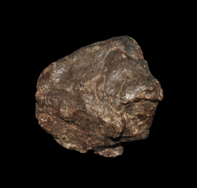 Météorite chondrite NWA 778 Météorite - auctions & price archive