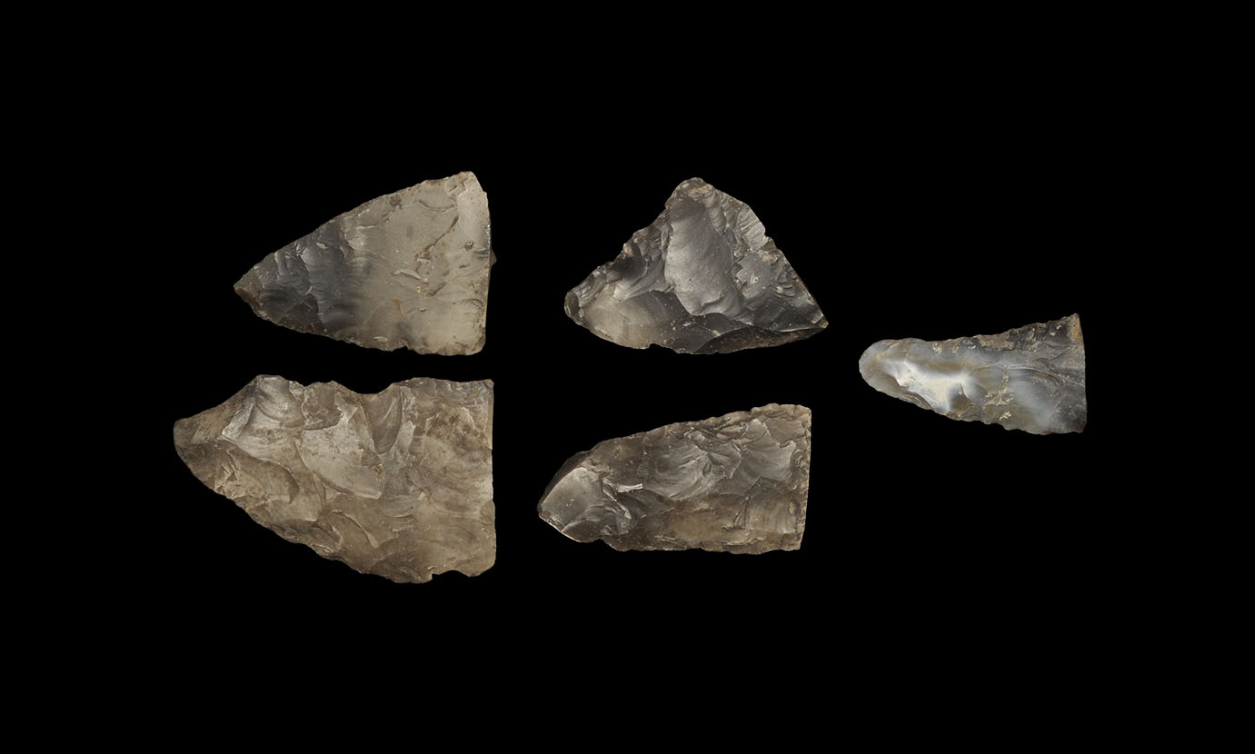 Neolithic Flint Knife with Fossil Fish Inclusion – A Rare and Important ...