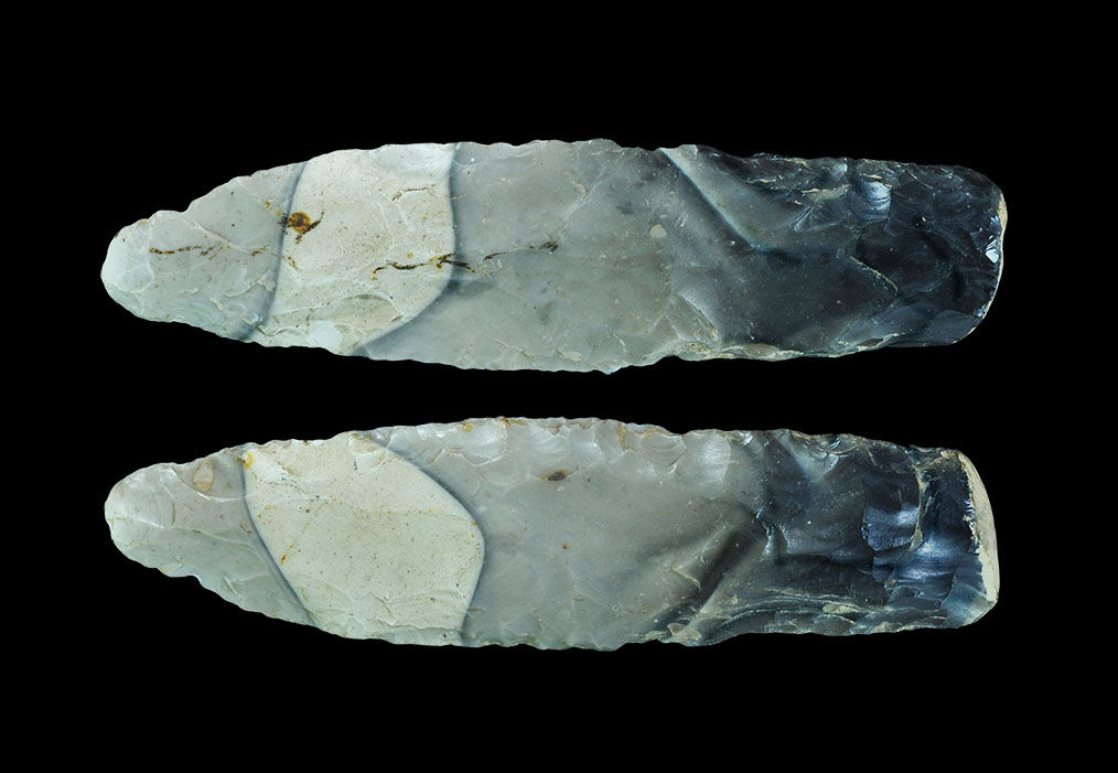 Neolithic Flint Knife with Fossil Fish Inclusion – A Rare and Important ...